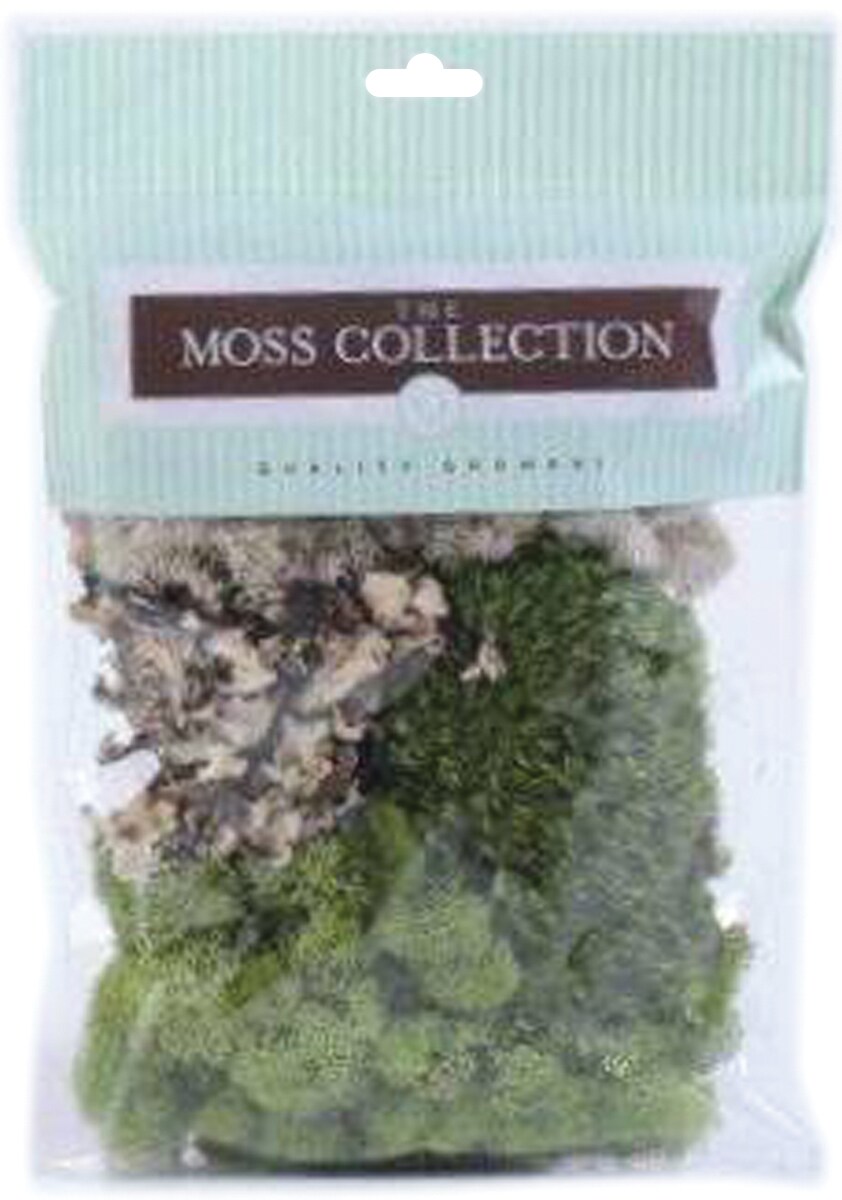 Quality Growers Variety Pack Moss -108.5 Cubic Inches | Michaels