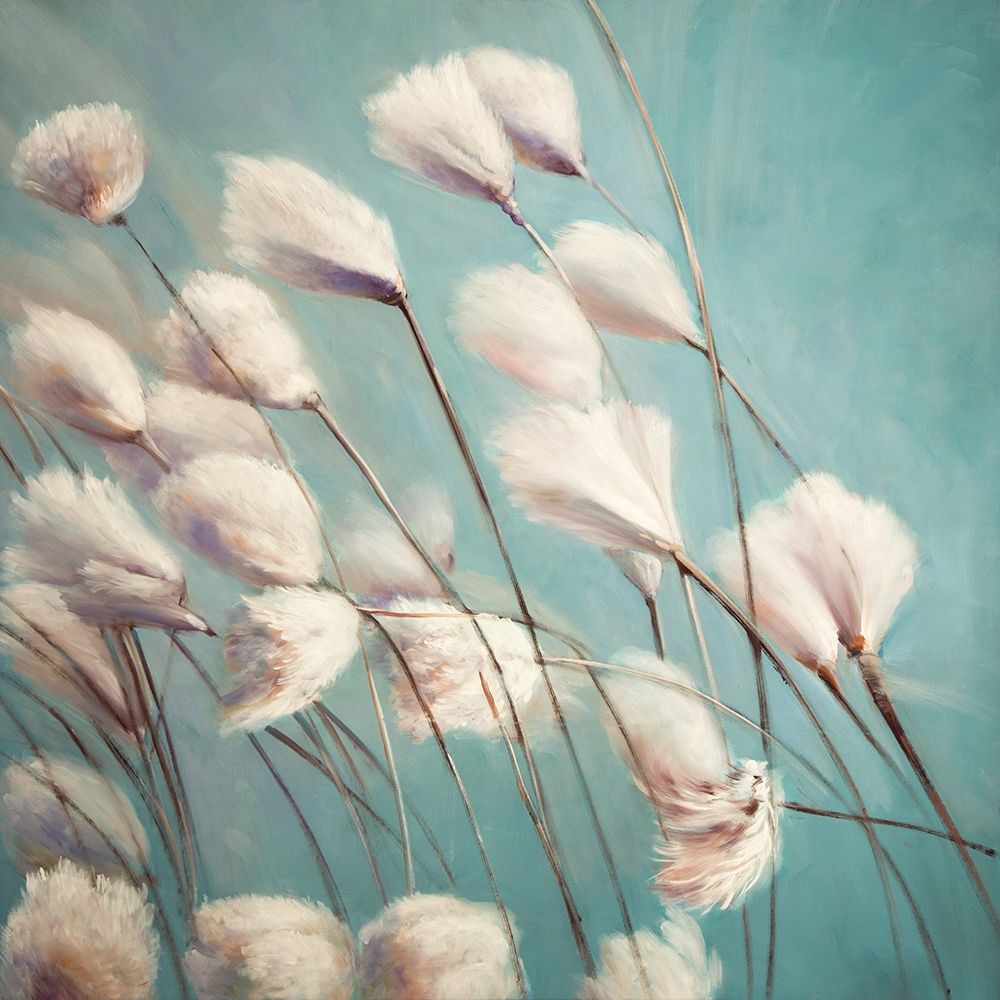 COTTON GRASS FLOWERS IN THE WIND Poster Print by Atelier B Art Studio ...