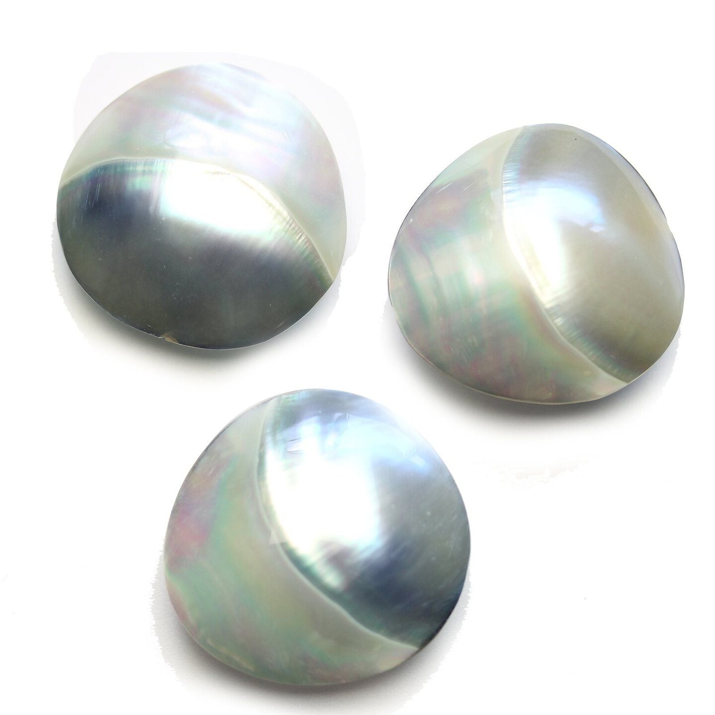 Philippine Natural Nautilus Shell Beads 33mm Beads | Michaels