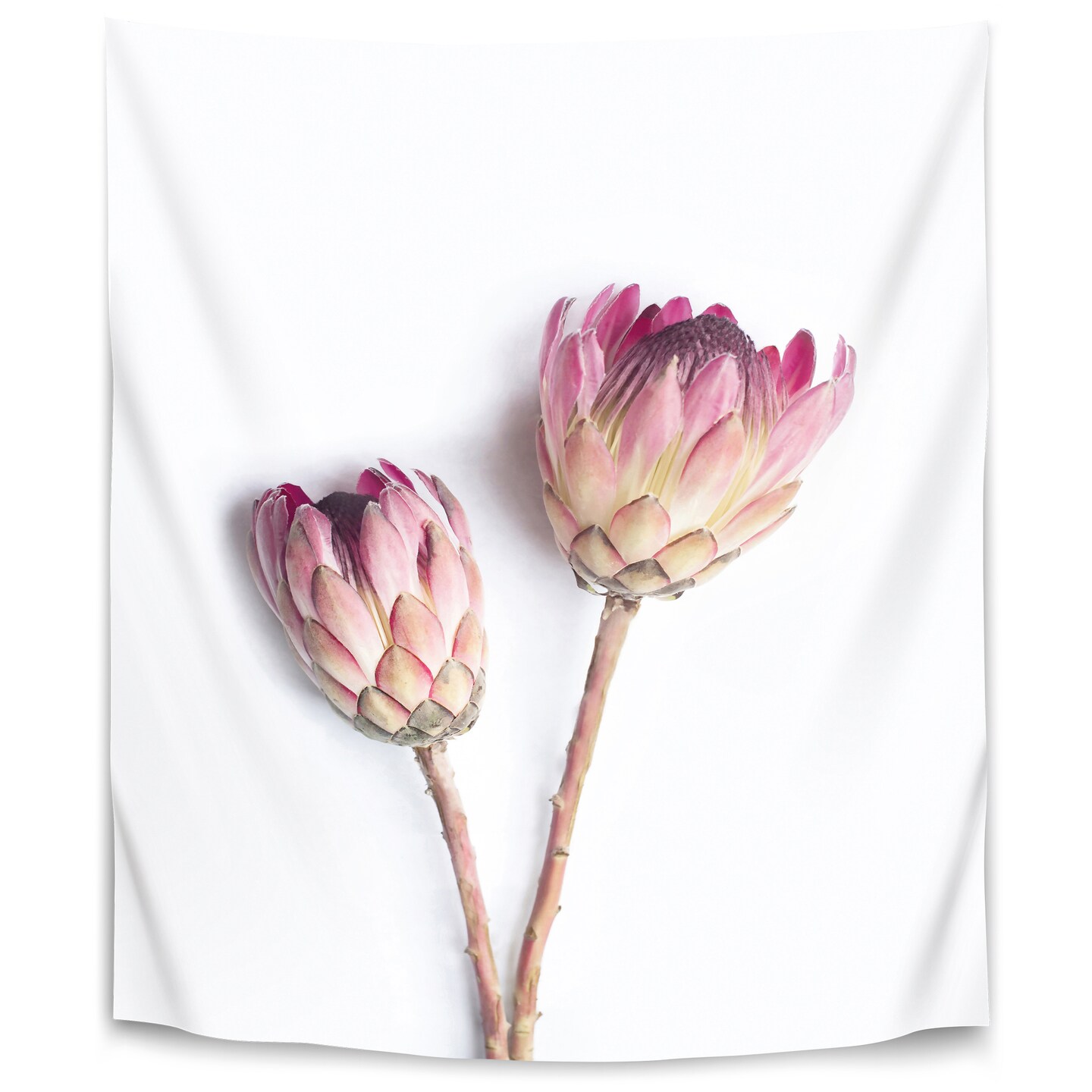 Protea by Sisi and Seb Wall Tapestry - Americanflat | Michaels