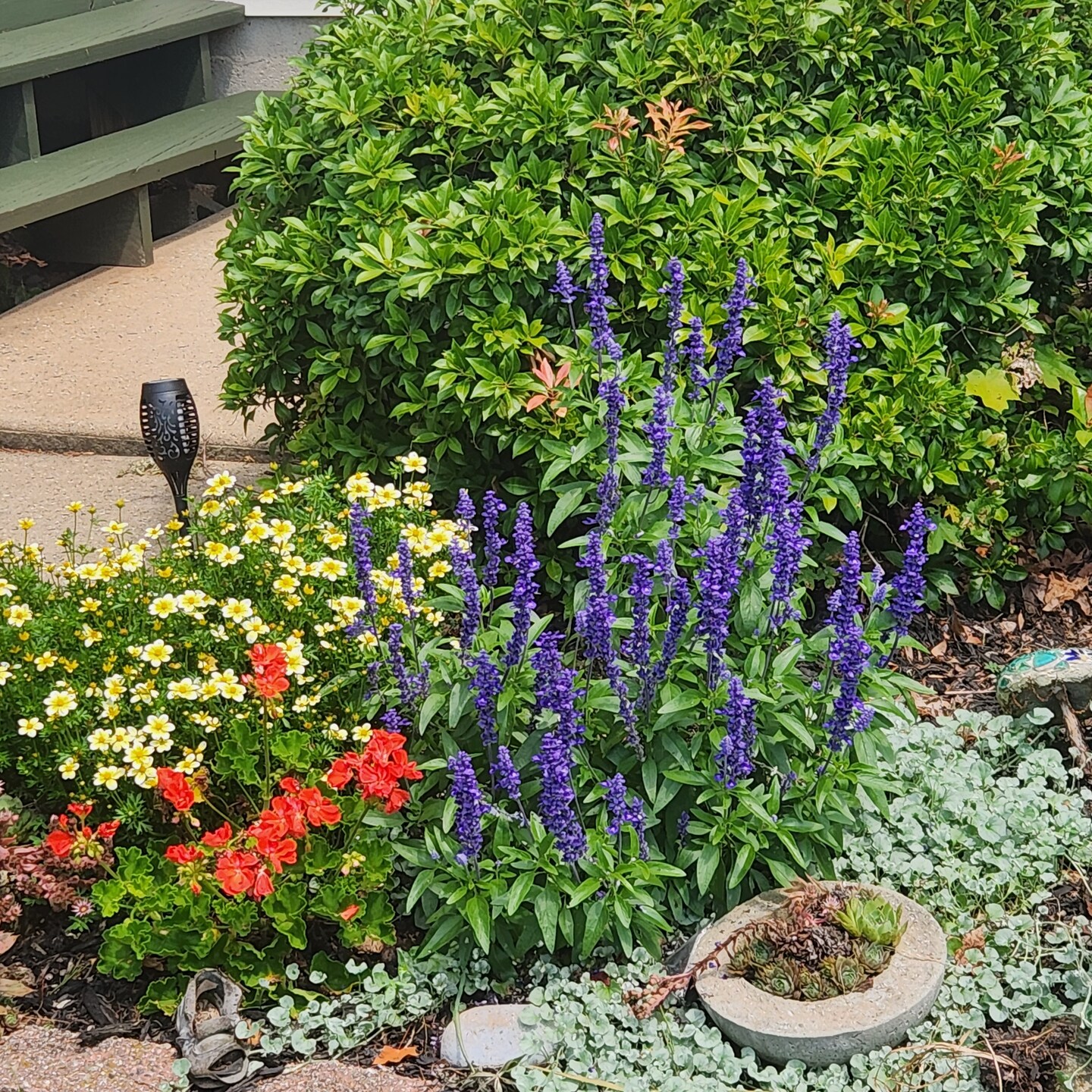 Show of Hands | Storefront | Michaels