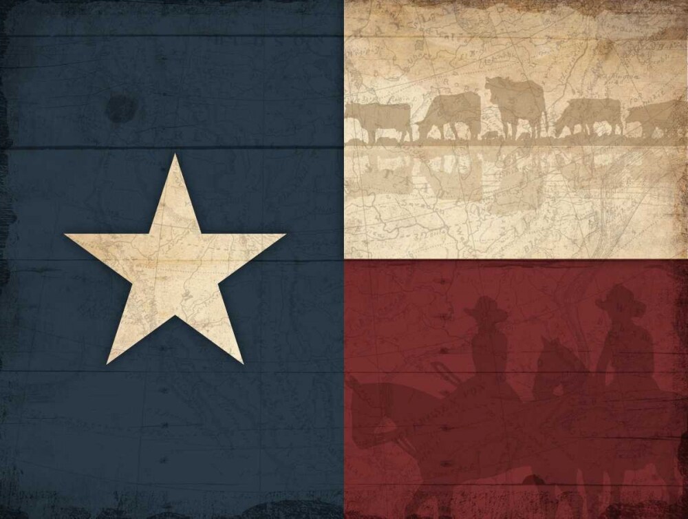 Texas Flag Poster Print by Jace Grey - Item # VARPDXJGRC590A2 | Michaels