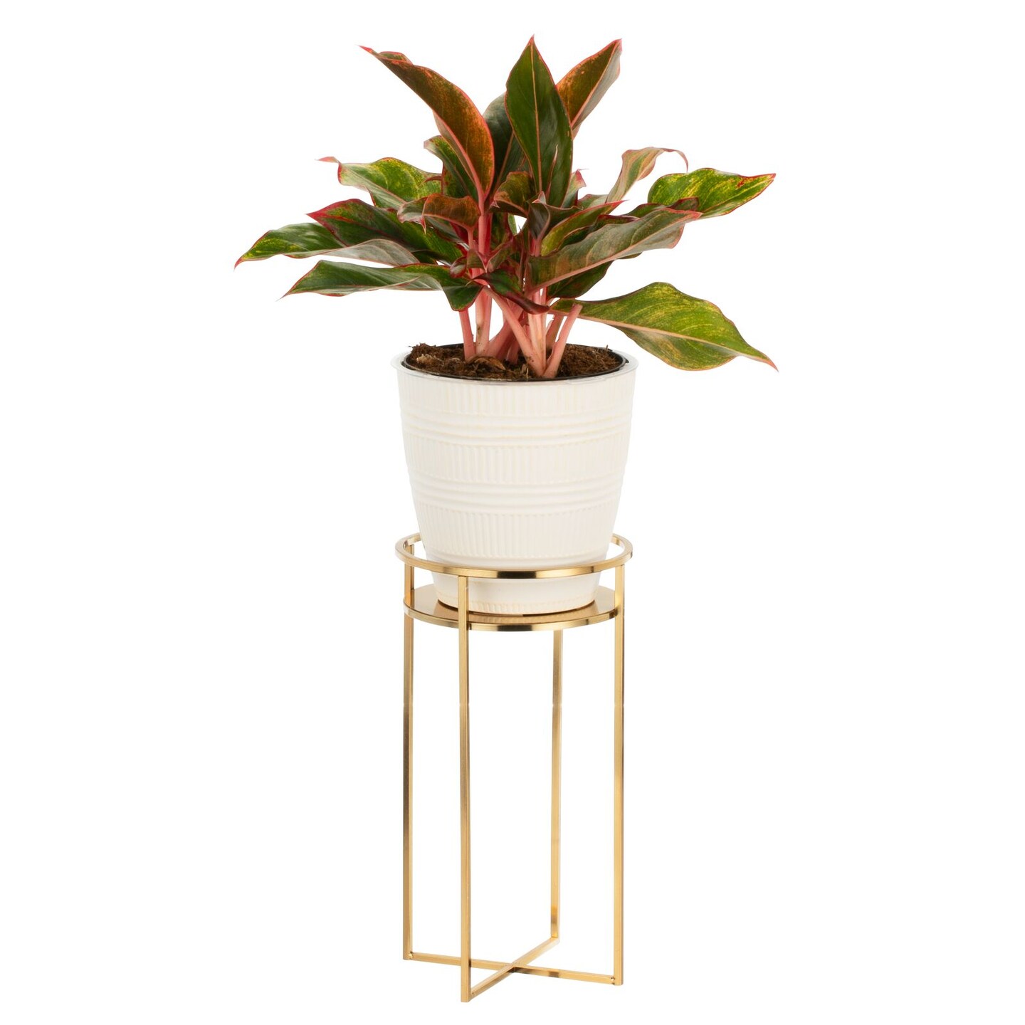 mDesign Metal Mid Century Modern Indoor/Outdoor Plant Stands | Michaels