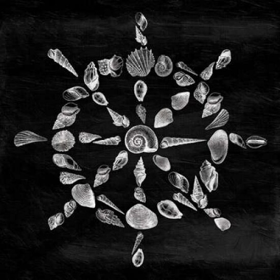 Shell Wheel Poster Print by Jace Grey - Item # VARPDXJGSQ601A | Michaels