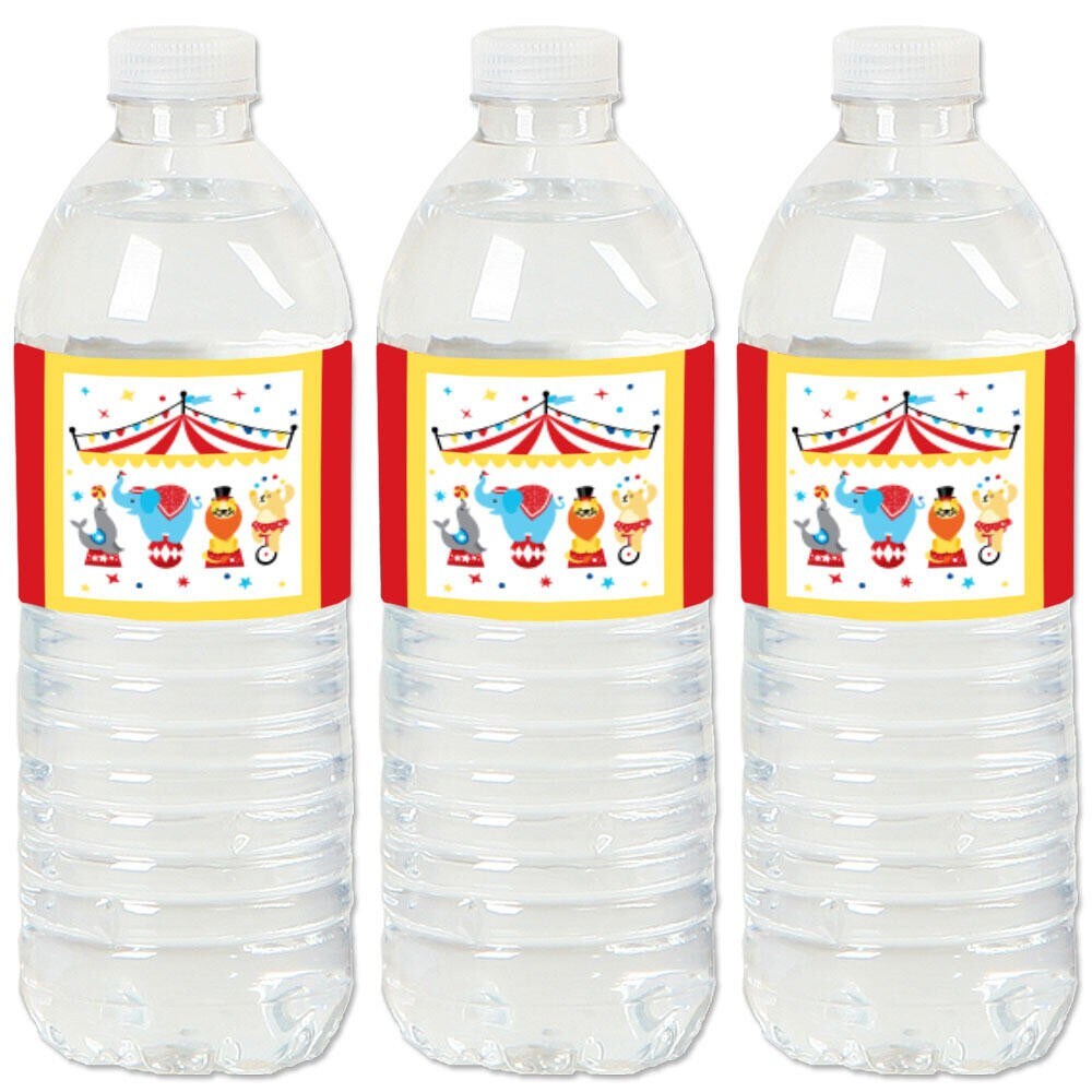 Big Dot of Happiness Carnival - Step Right Up Circus - Carnival Themed ...