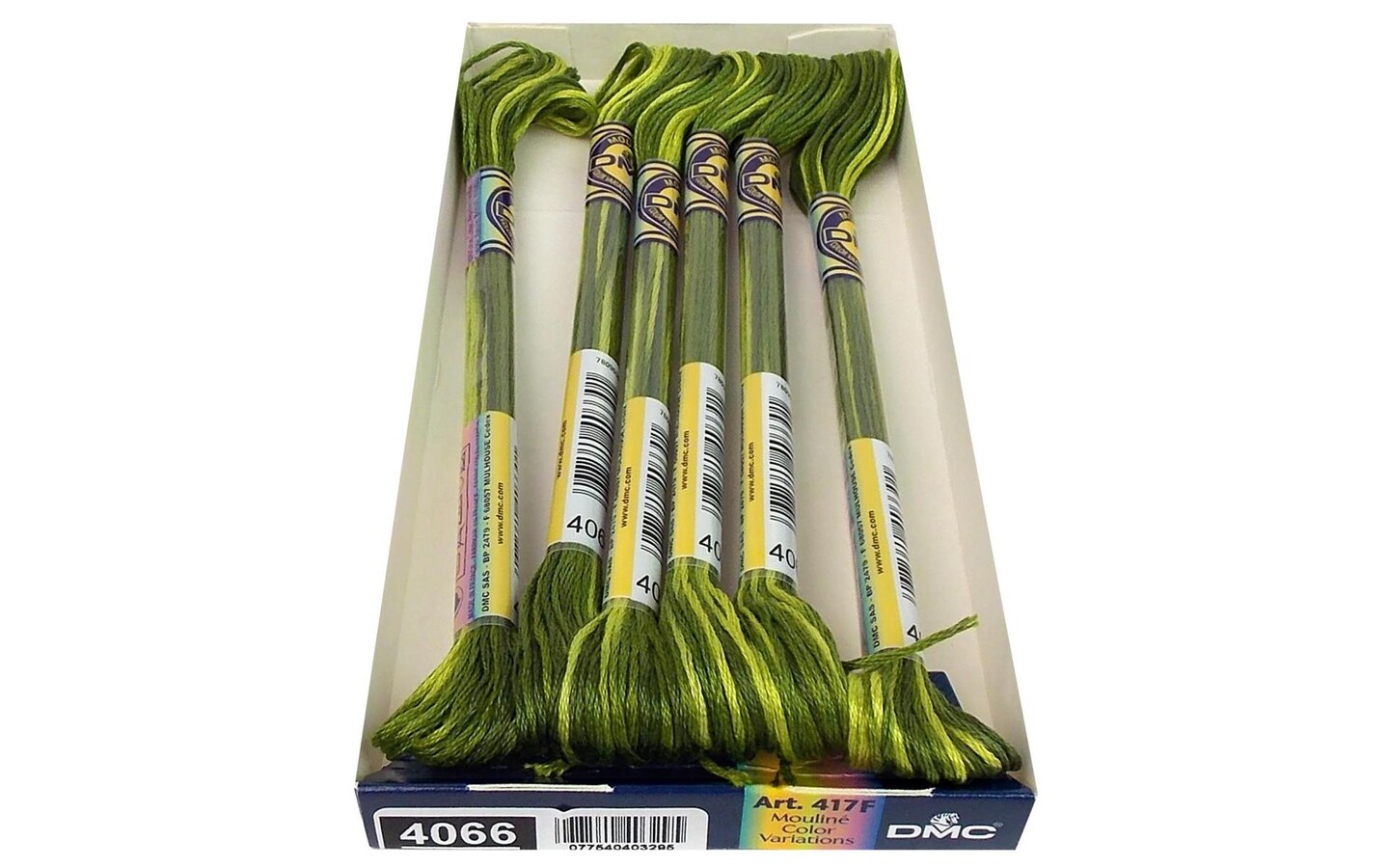 DMC Color Variations Variegated Floss 4066 | Michaels