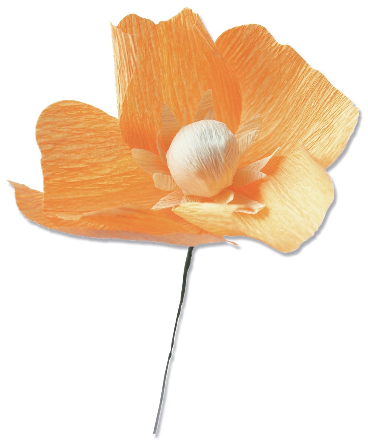 Sizzix Thinlits Dies By Lisa Jones 5/Pkg-California Poppy | Michaels