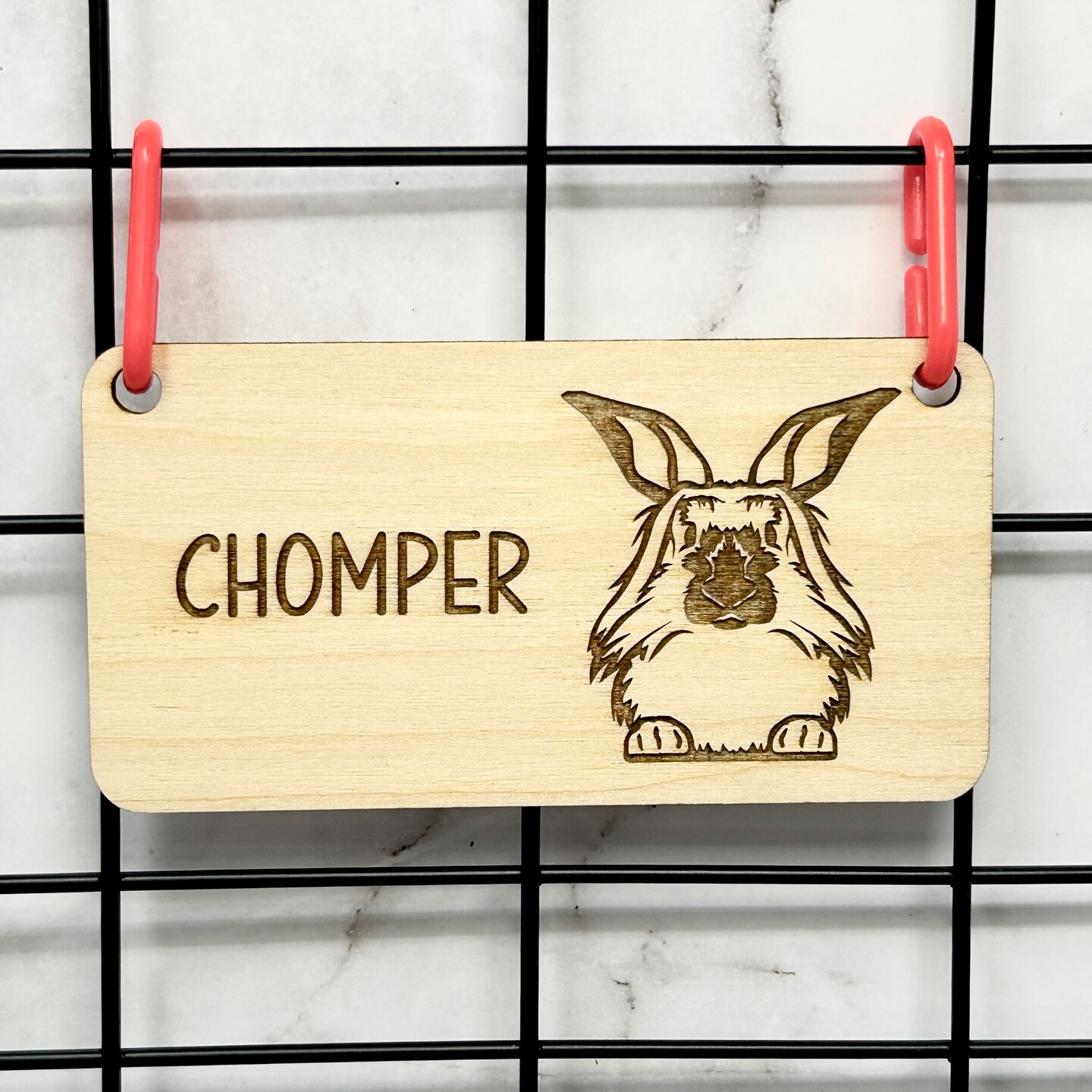 Lionhead Rabbit, Bunny Name Tag, Rabbit Name Tag, Bunny Accessories for ...