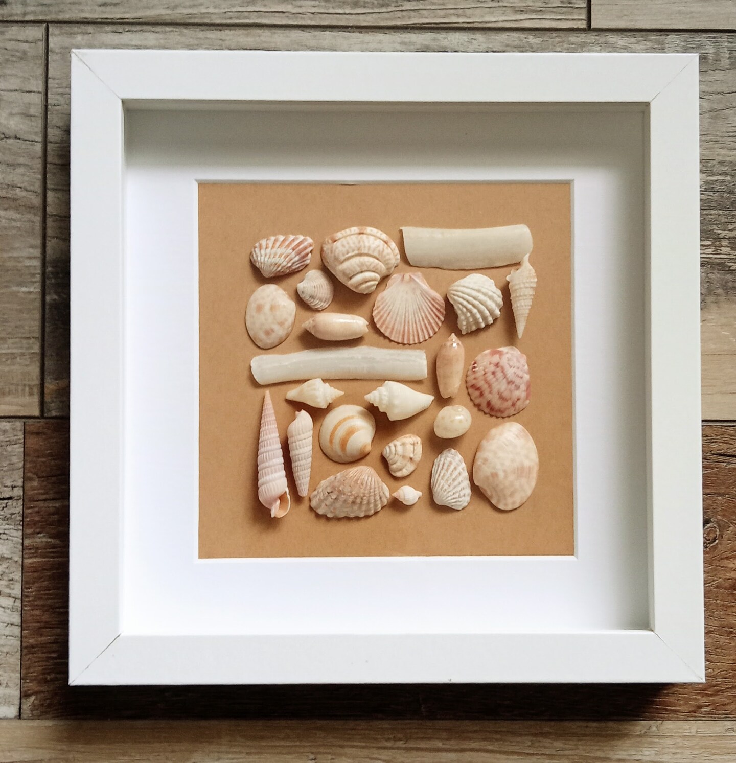 8x8 Shadow Box Framed Seashell Coastal Decor | MakerPlace by Michaels