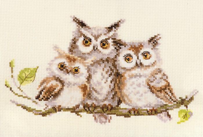 Owls 0-210 Counted Cross-Stitch Kit | Michaels