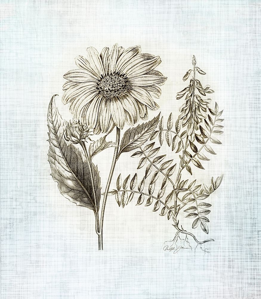 Farmhouse Botanical 3 Poster Print by Christopher James # 502JAM1316 ...