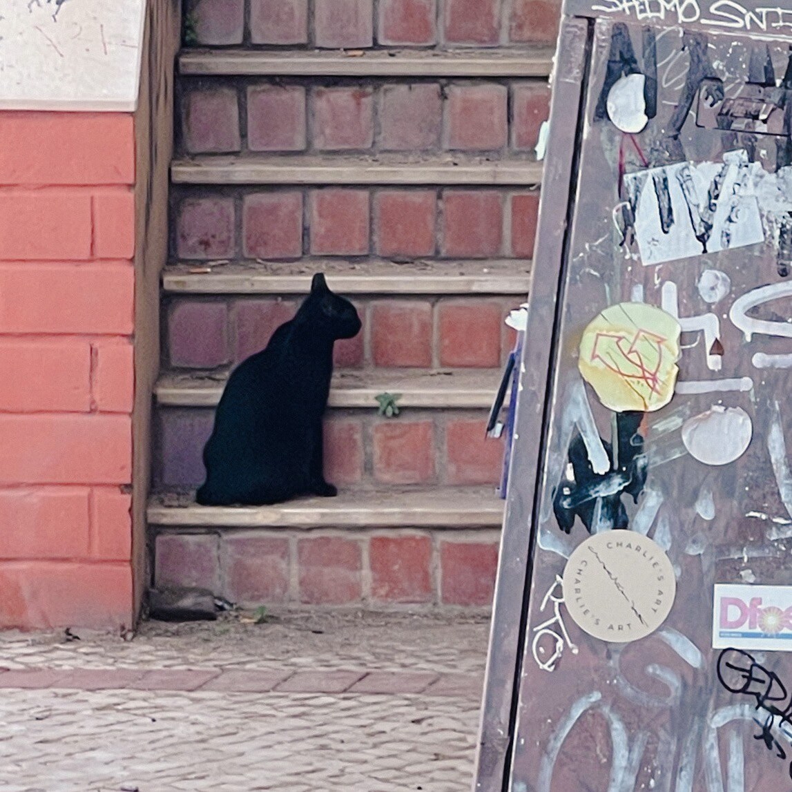 CatnipCrafts | Storefront | Michaels