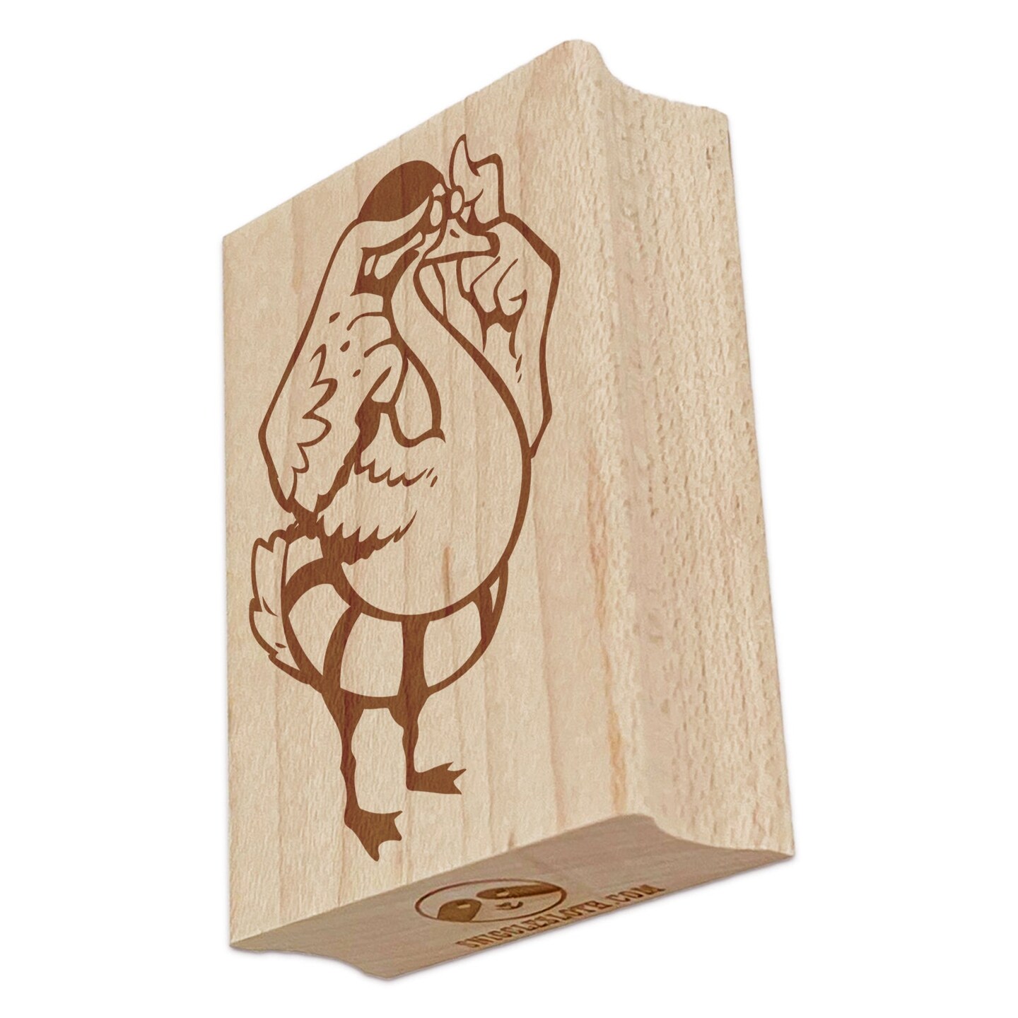 Swimming Swan Goggles Pool Float 12 Days of Christmas Rectangle Rubber ...