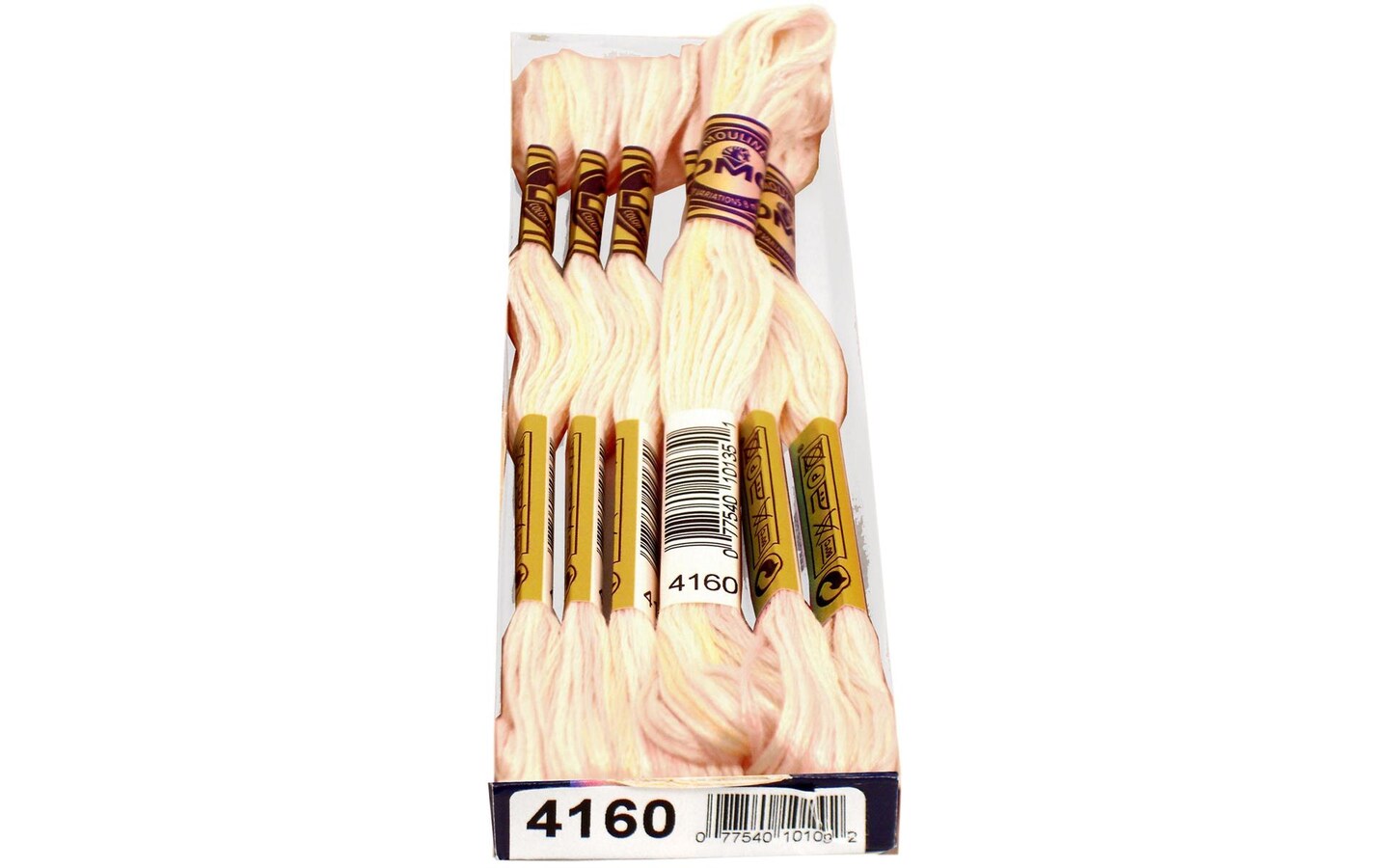 DMC Color Variations Variegated Floss 4160 | Michaels