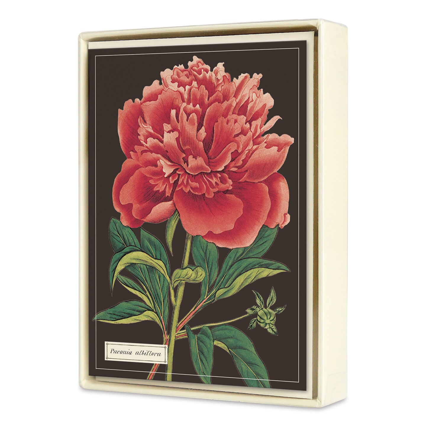 Cavallini Botanical Boxed Note Cards - Set of 8 | Michaels