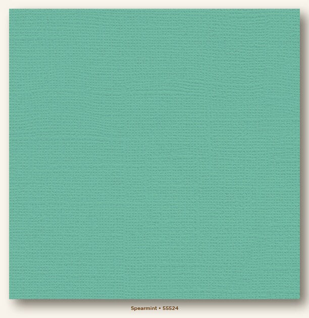 Spearmint Canvas Textured My Colors Cardstock - Photoplay | Michaels