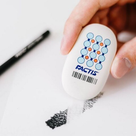 FACTIS JUMBO EGG STONE GUM ERASER | Michaels