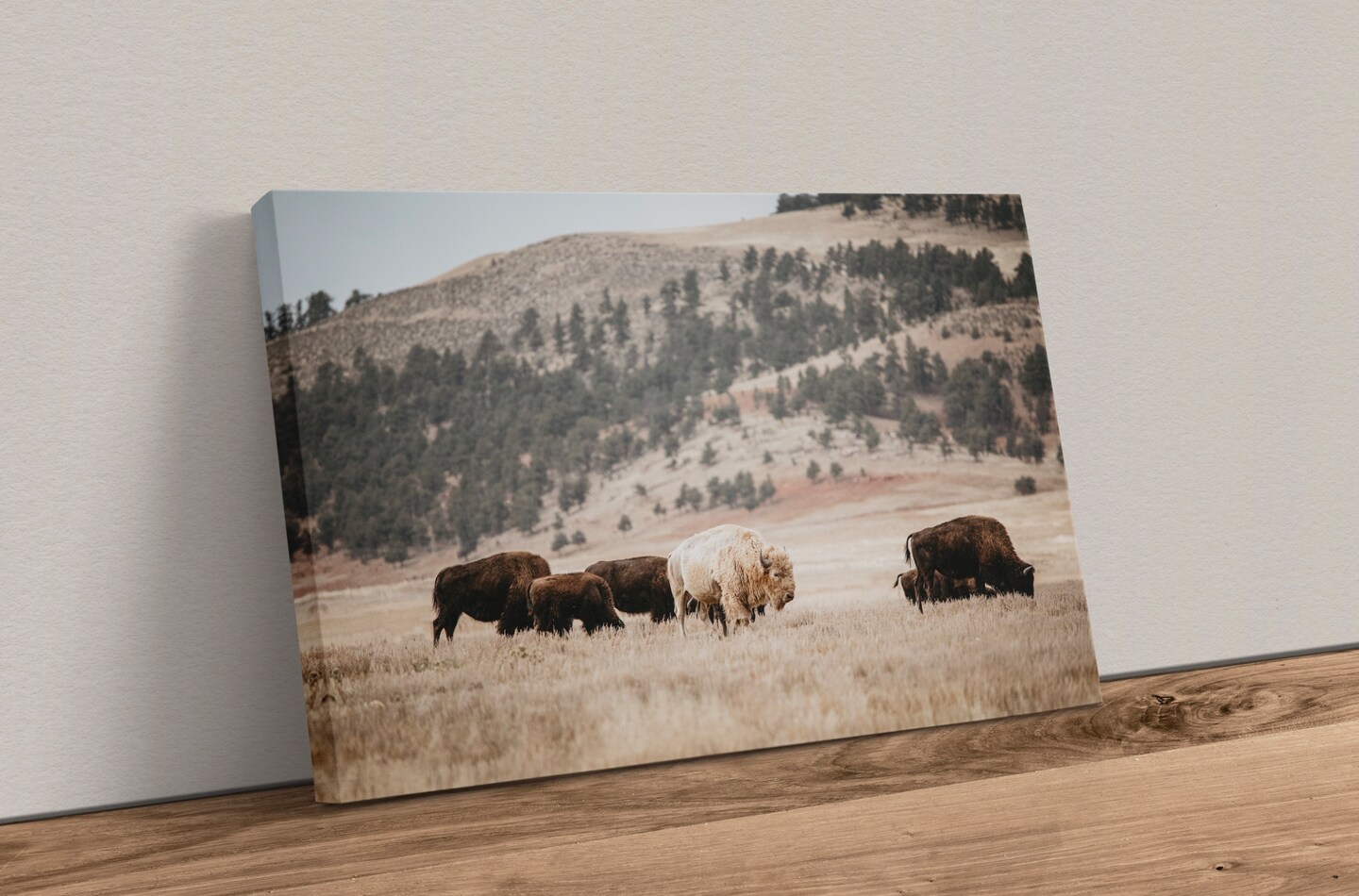 White bison, white buffalo art, spirit bison canvas, great white ...