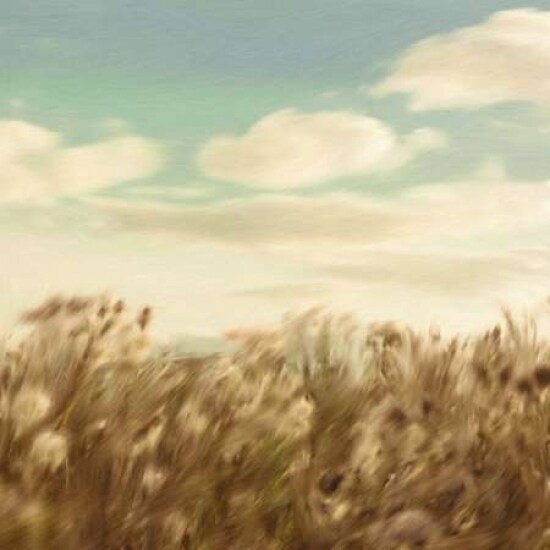 Dandelion Field Poster Print by PI Studio | Michaels