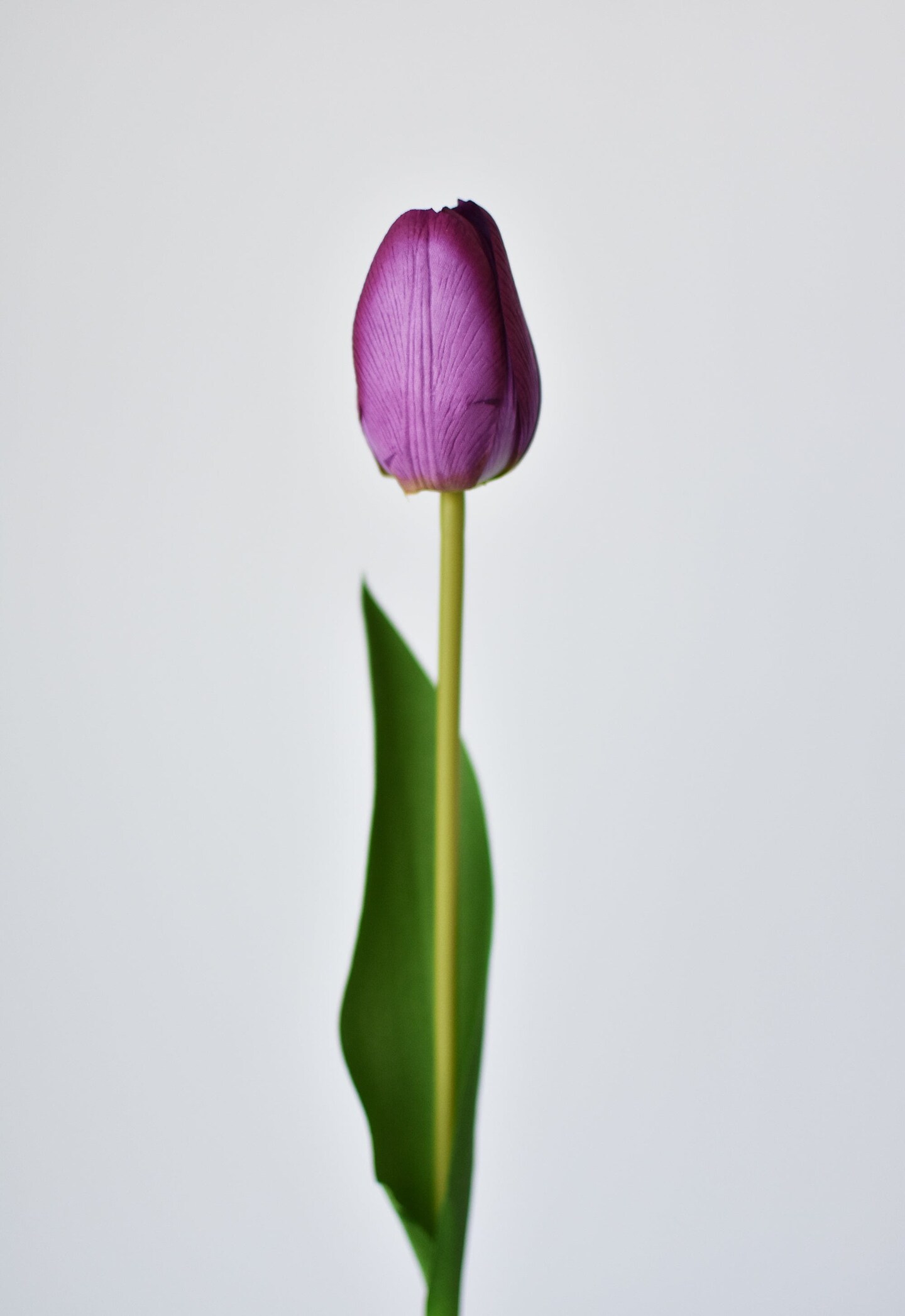 19" Faux Real Touch Purple Tulip Stem | Michaels