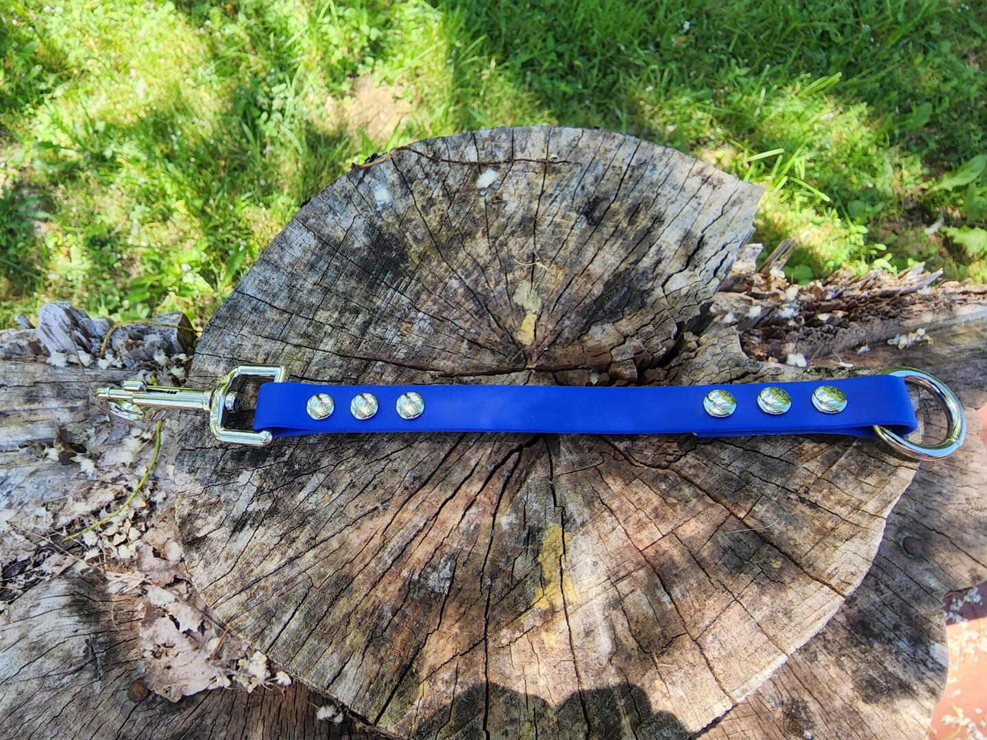 Training Tab With O-Ring, Five Eighths Inch Wide Biothane Waterproof No ...