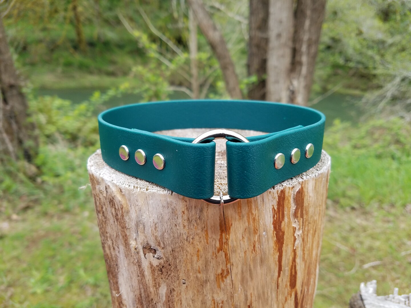 Tag Dog Collar, One Inch Wide Biothane Waterproof House Collar, Custom ... Tag Dog Collar, One Inch Wide Biothane Waterproof House Collar, Custom ...