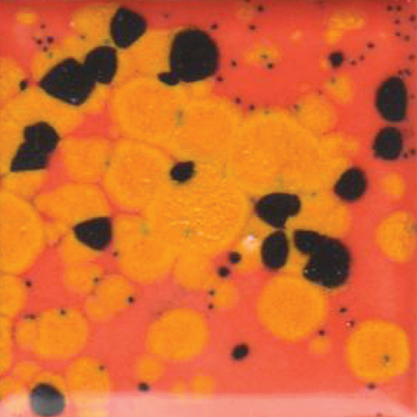 Sax True Flow Colorburst Glaze, Spicy Orange, 1 Pint | Michaels