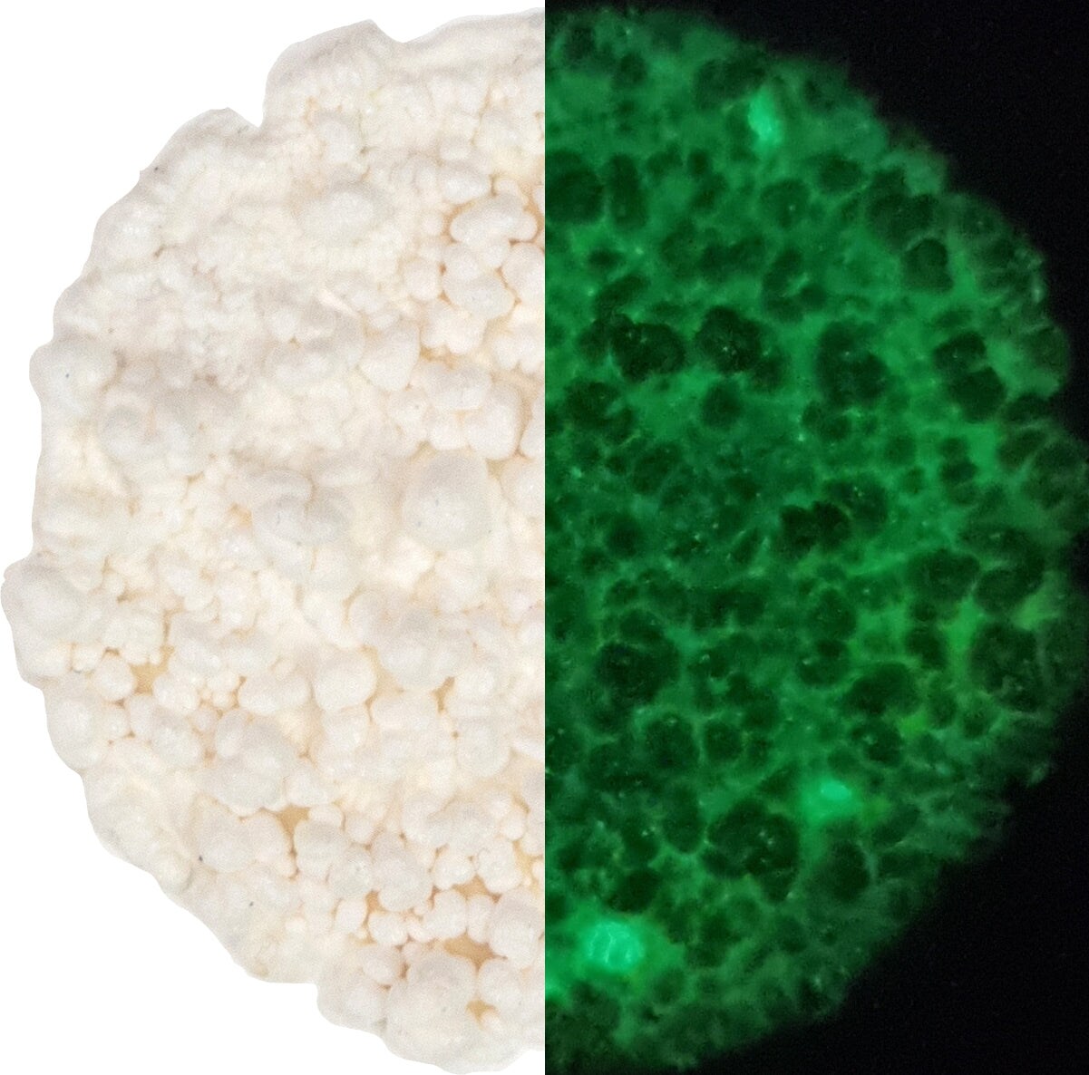 Cosmic Shimmer Fluffy Stuff Glow in the Dark 30 ml | Michaels