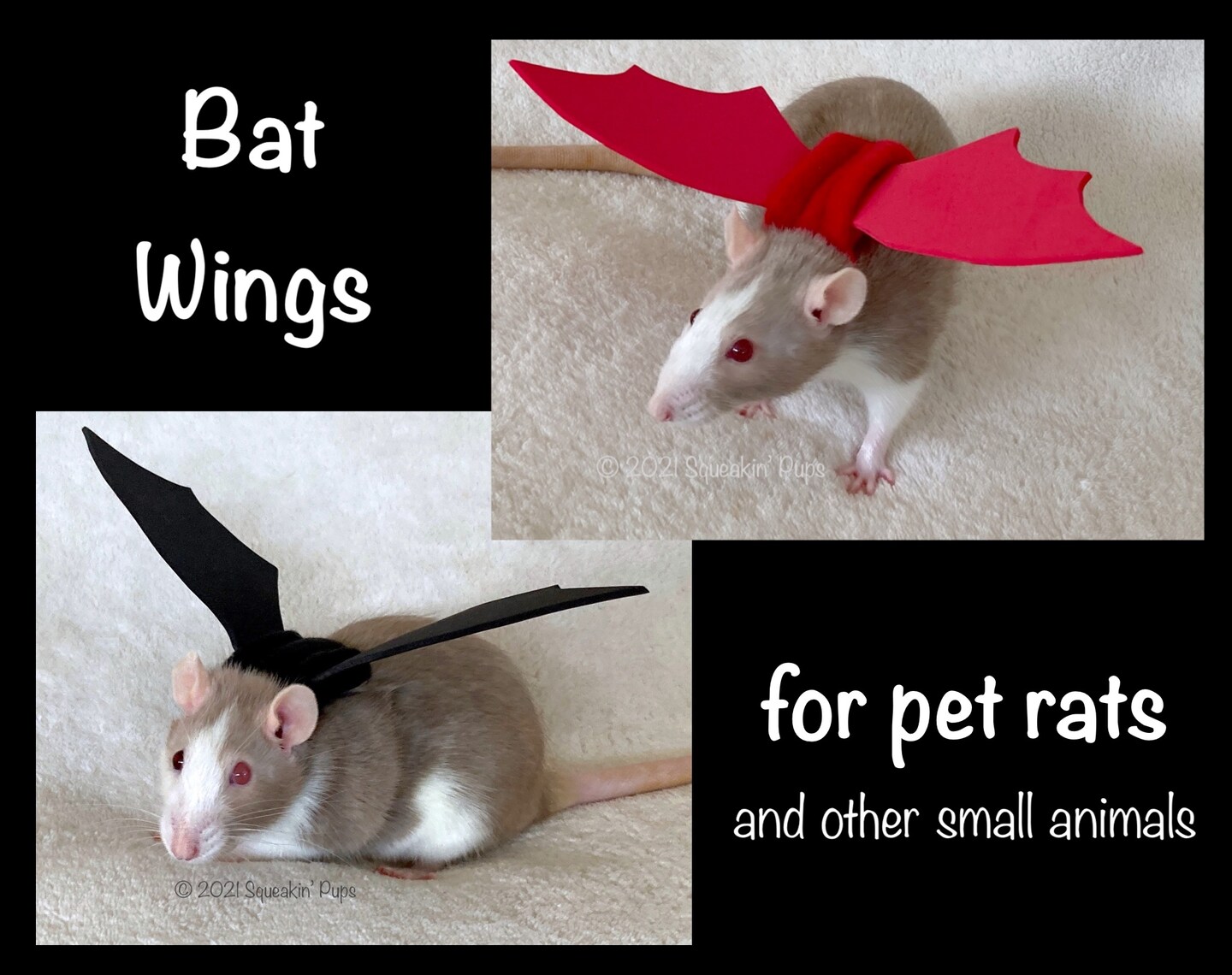 Bat Wings Dragon Wings Costume for Pet Rats, Cute Halloween Ideas for ...