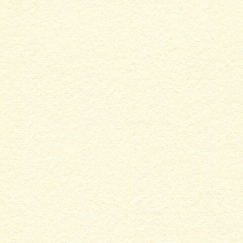 VELIN BFK HEAVYWEIGHT RIVES SHEETS CREAM 175GR 19X26 | Michaels