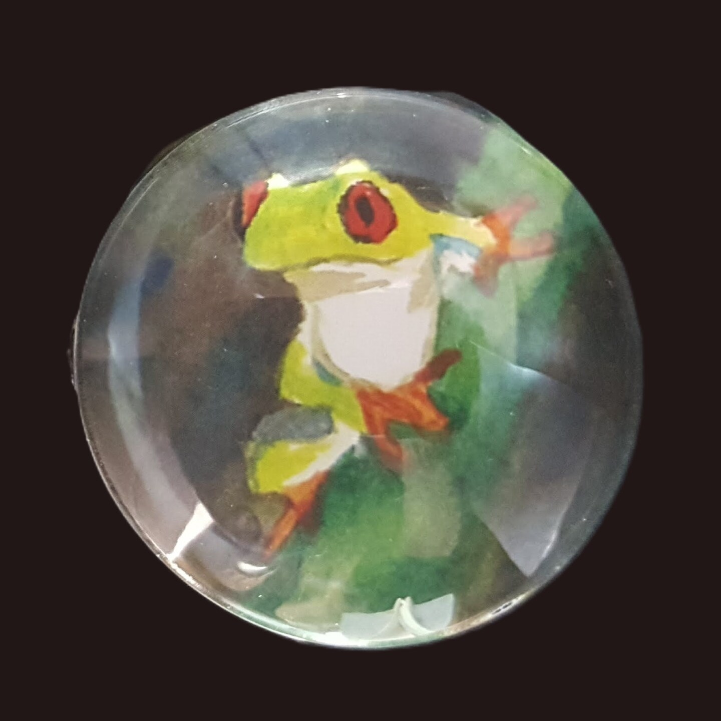 Red Eyed Tree frog magnets, 7 mini wildlife watercolors, original ...