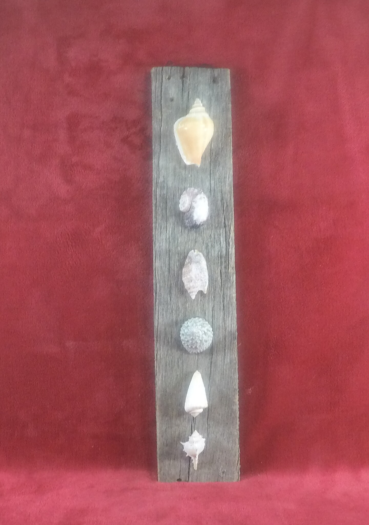 Hanging Sea Shell Wall Art | MakerPlace by Michaels