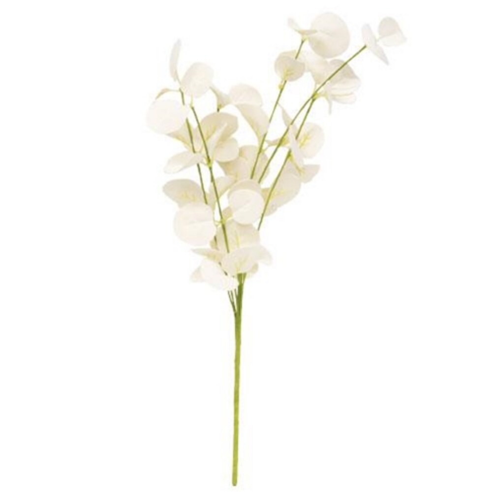 16” Long Foamy Silver Dollar Pick Cream with Green Paper-Wrapped Stem ...