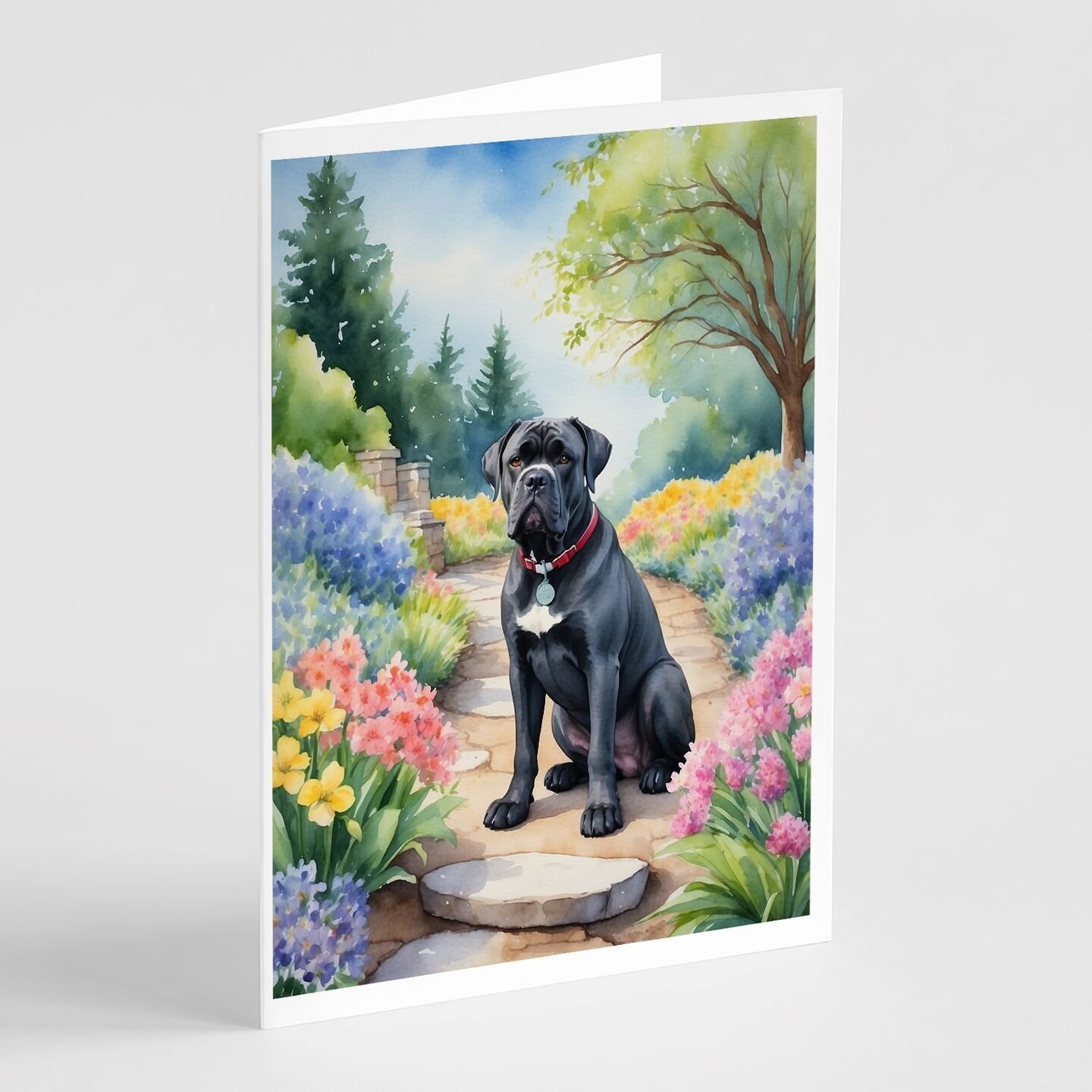 Edge Collections - 5" x 7" - Whimsical Greeting Cards for Every ...
