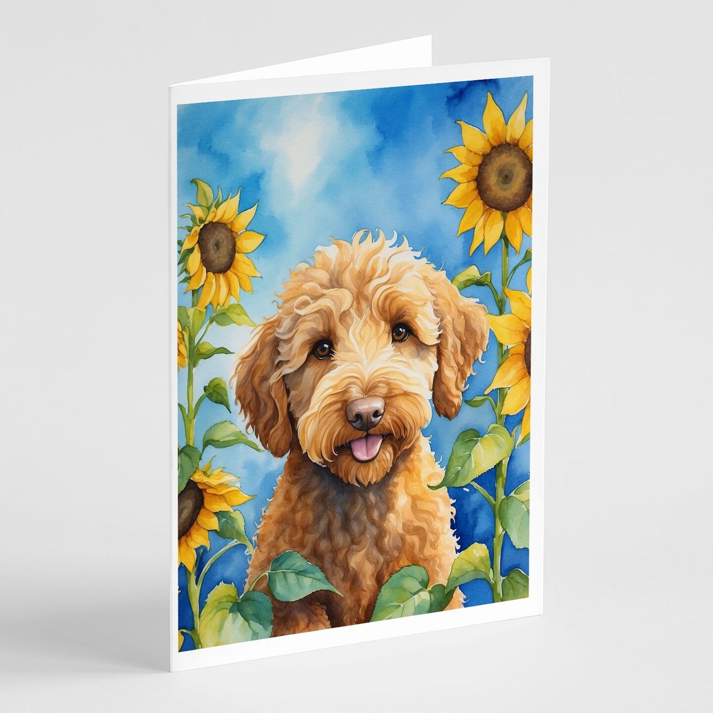 Edge Collections - 5" x 7" - Fun and Whimsical Greeting Cards for Any ...