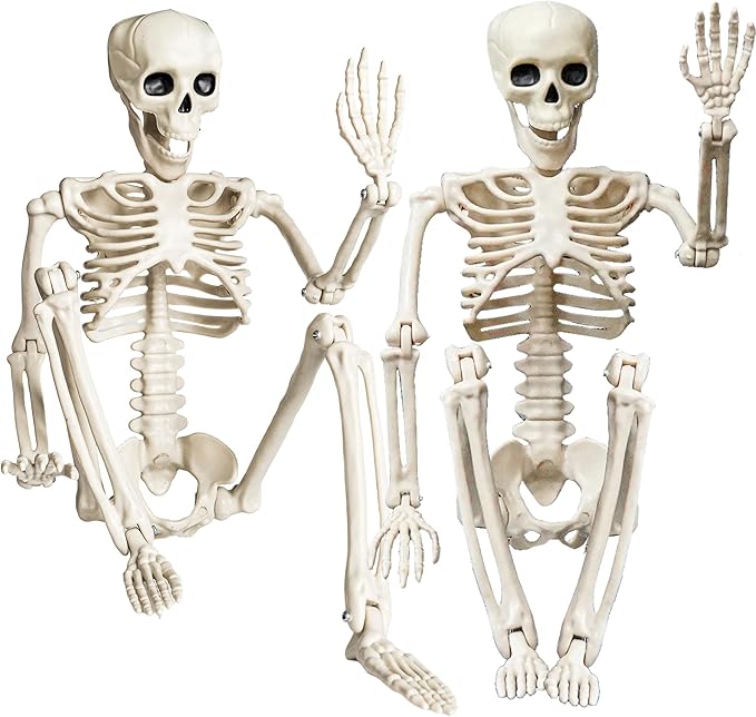 Halloween Skeleton Decorations, 2 Pack 26 Inch Full Body Skeleton with ...