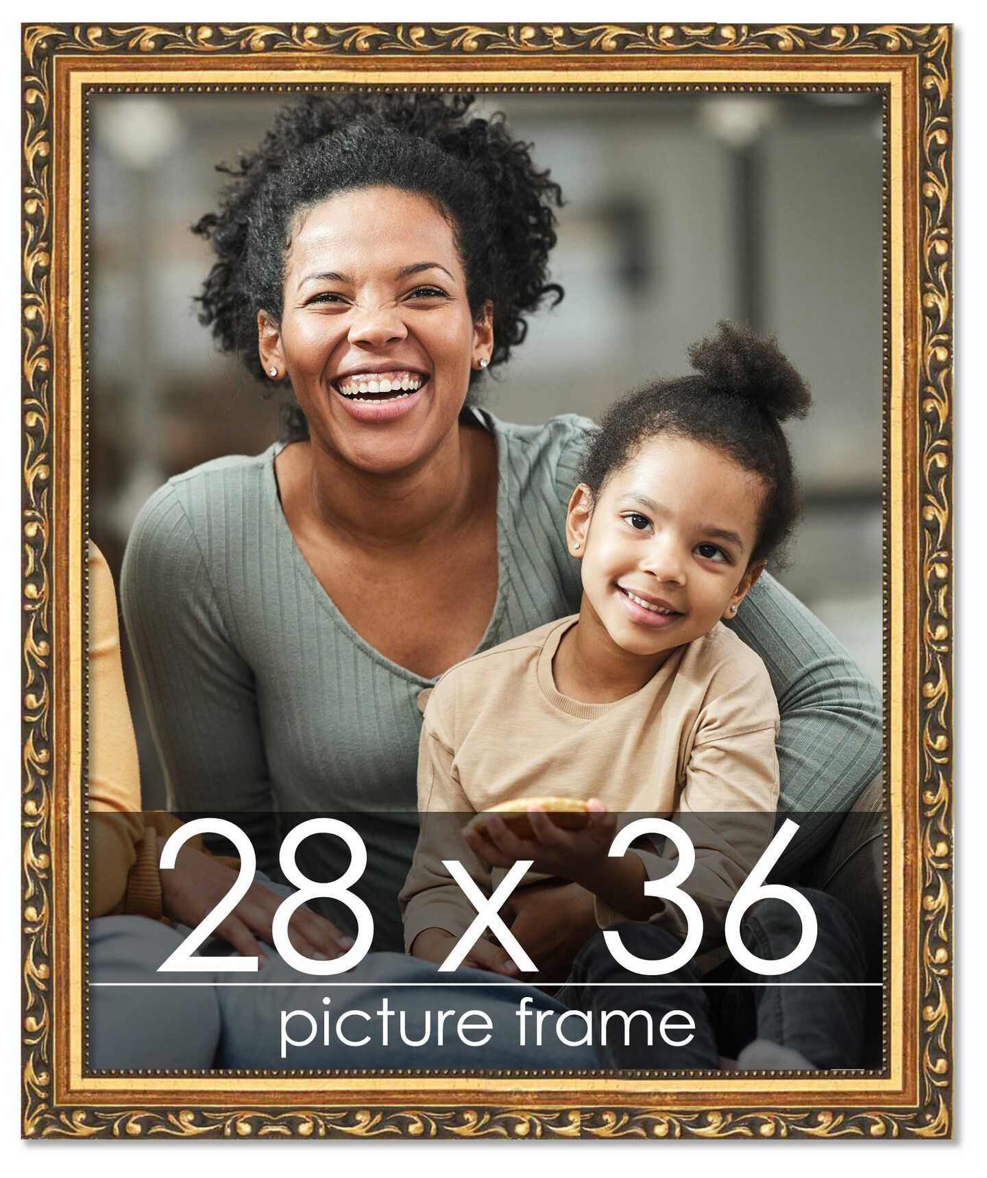 28x36 Museum-Quality Picture Frame with UV-Resistant Acrylic & Acid-Free Backing, Available in 4 ...