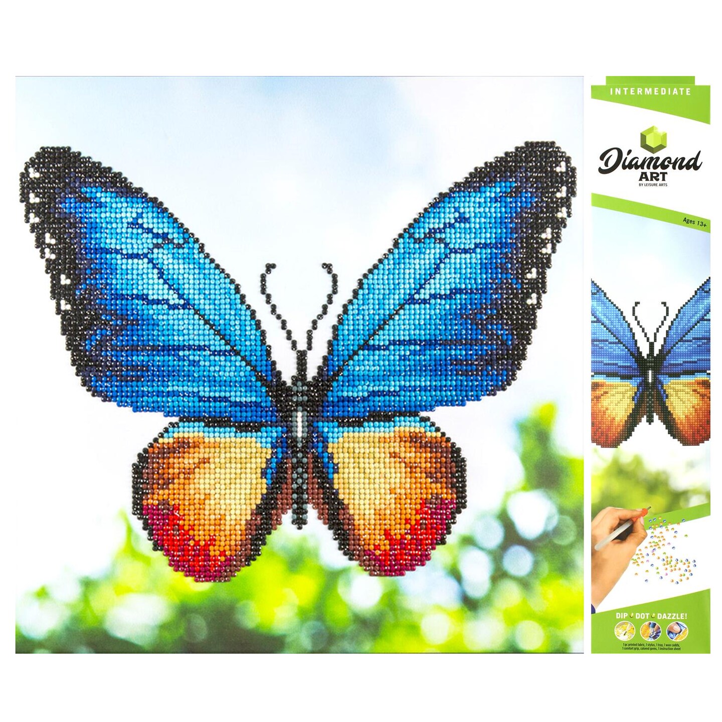 Diamond Art By Leisure Arts Diamond Painting Kits For Adults 12"X12 ...