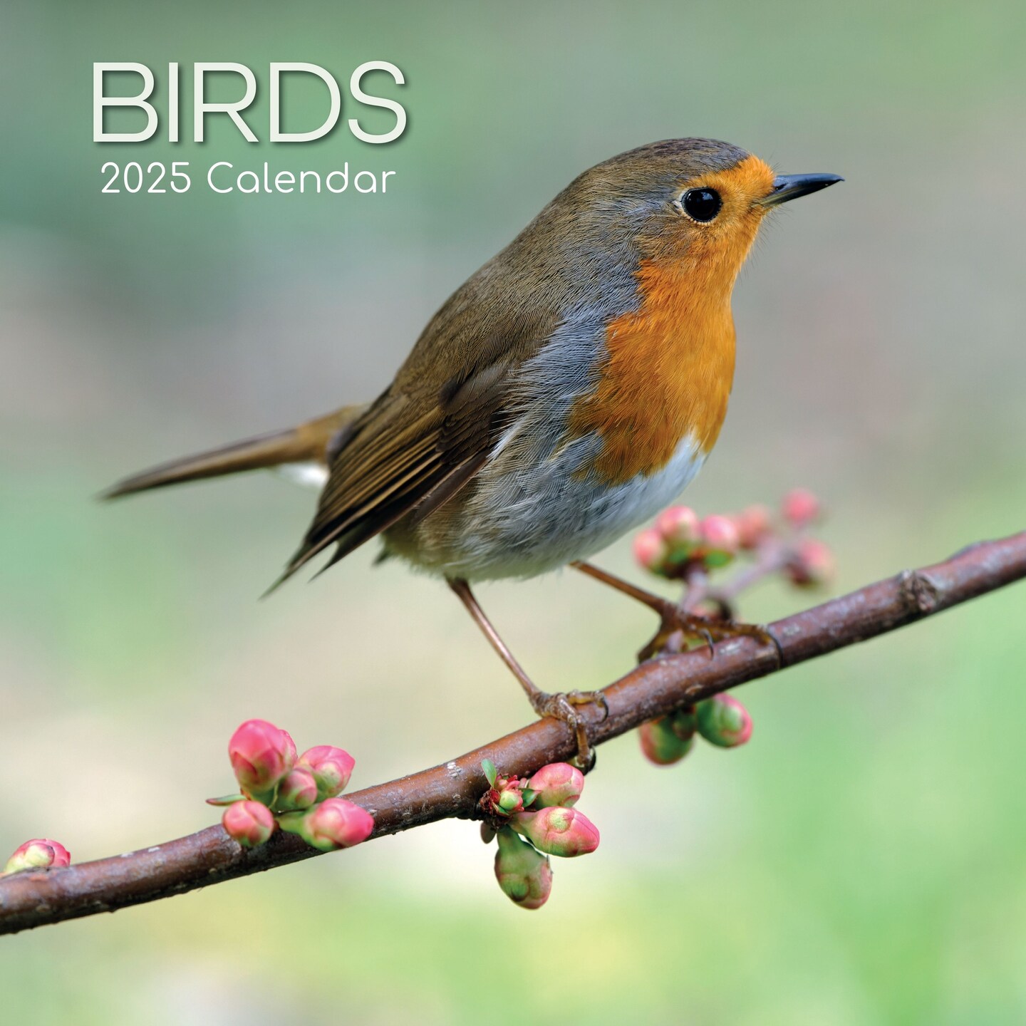 The Gifted Stationary 2025 Square Wall Calendar, Birds, 16-Month ...