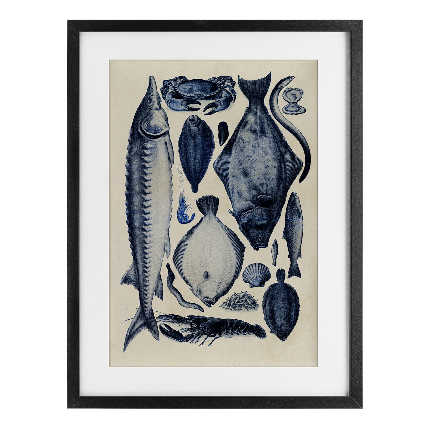 Stupell Industries Scientific Marine Life Chart Framed Print Under ...