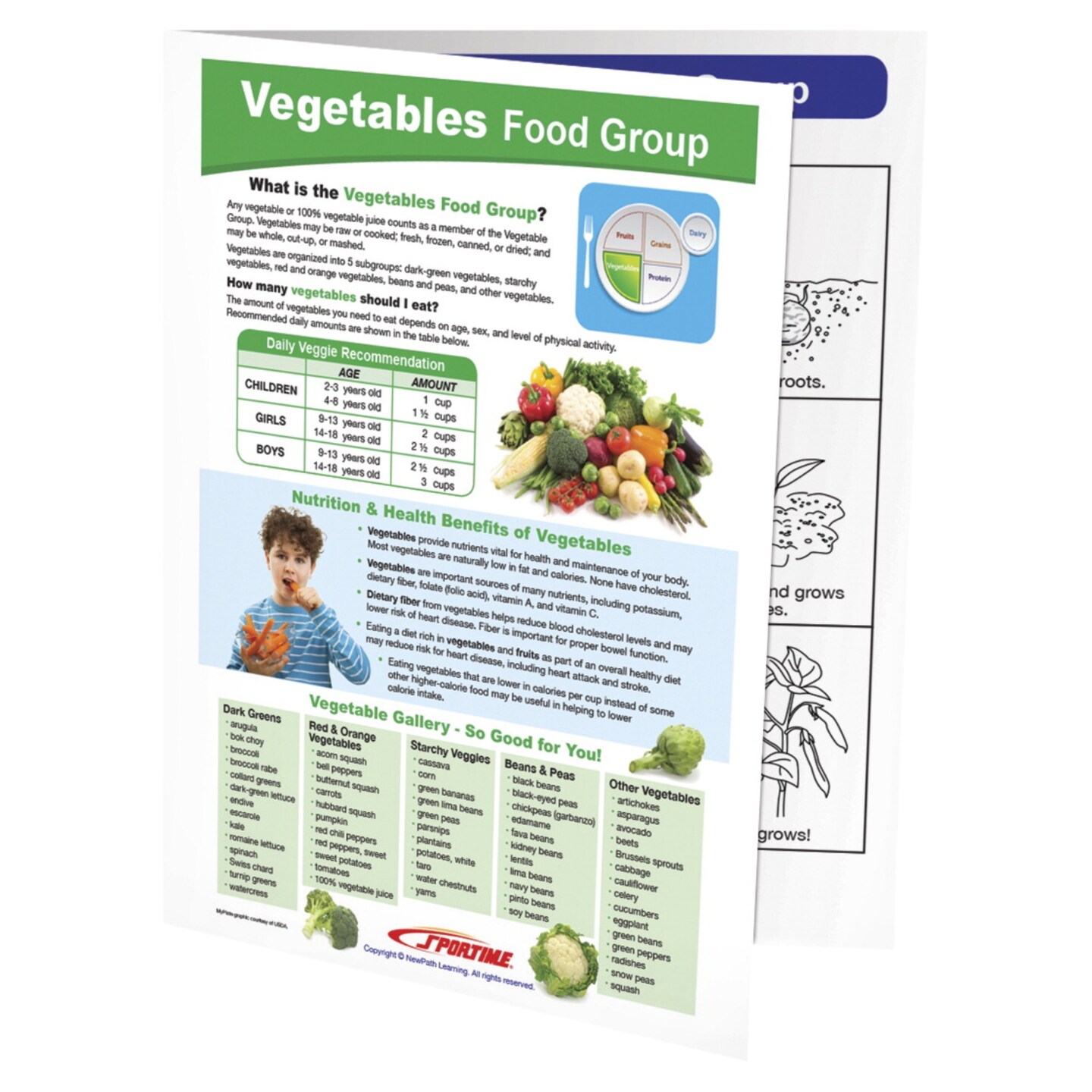 Sportime Vegetables Food Group Visual Learning Guide, 4 Pages, Grades 5 ...