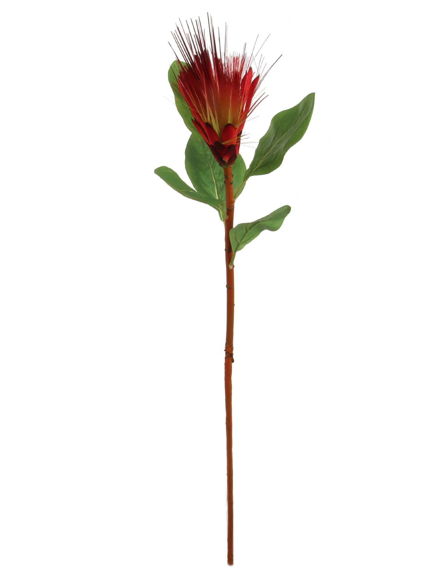 30" Orange ROYAL PROTEA SPRAY | Michaels