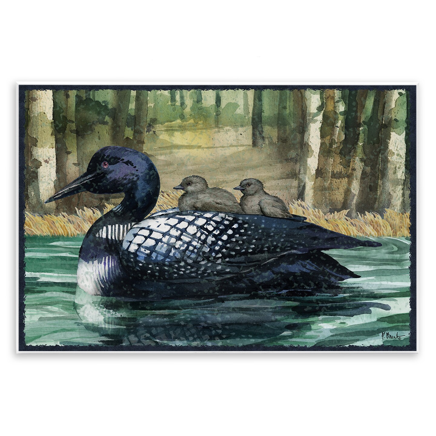 Stupell Industries Loon Family on Lake Wall Plaque Design by Paul Brent ...