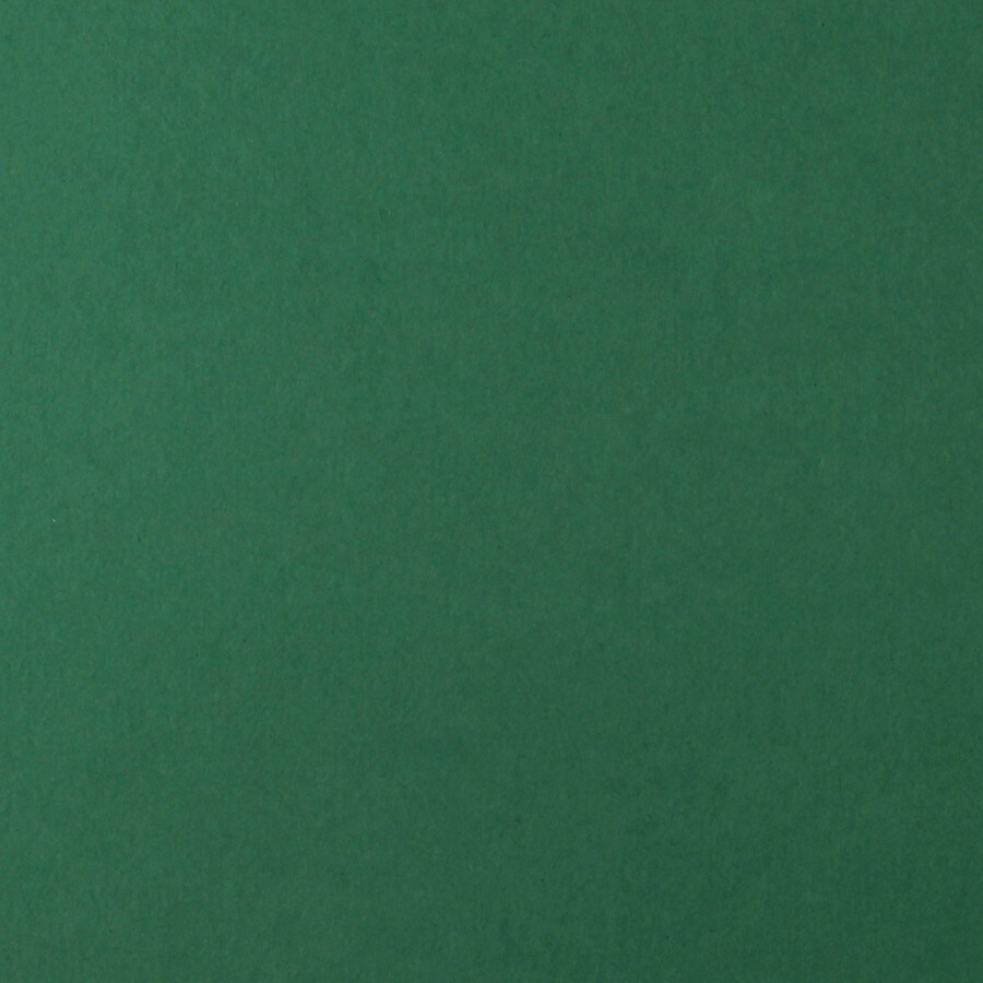 Colorplan by Legion Papers 11" x 17" - 130 Lb. / 18.5 pts Matte Premium ...