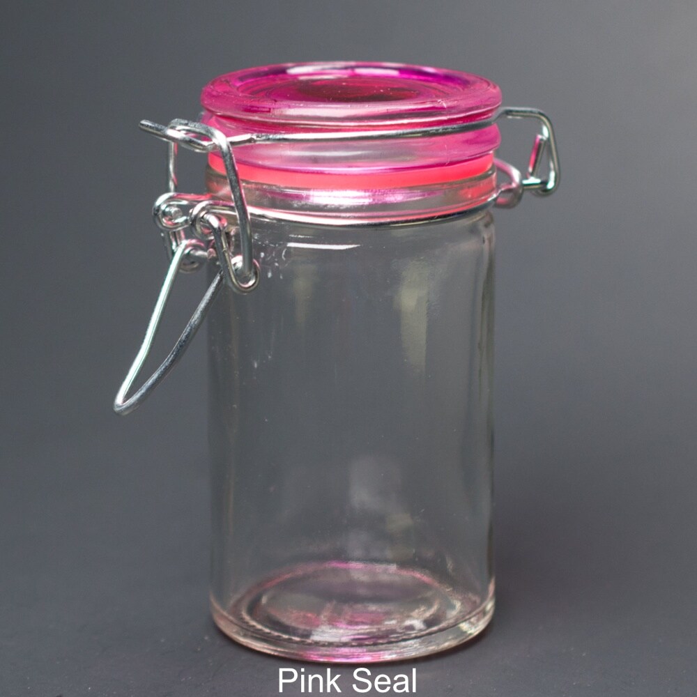 Glass Display Jar with Latch – 57112 | Michaels