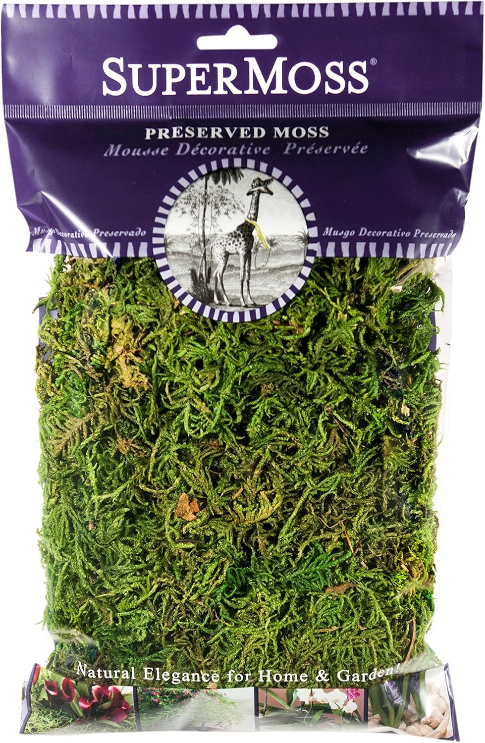 Forest Moss Preserved, Fresh Green, 2oz | Michaels