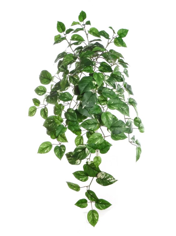 23" Pothos Ivy Bush – 2 Pack | 117 Silk Leaves for Lush Hanging Indoor & Outdoor Greenery | Michaels