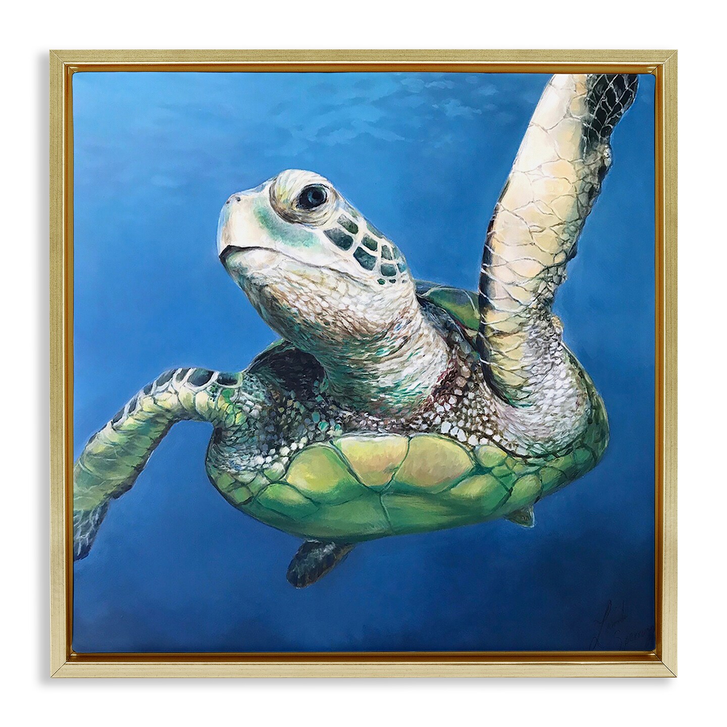 Stupell Industries Sheldon Turtle Portrait Painting Floating Frame By ...