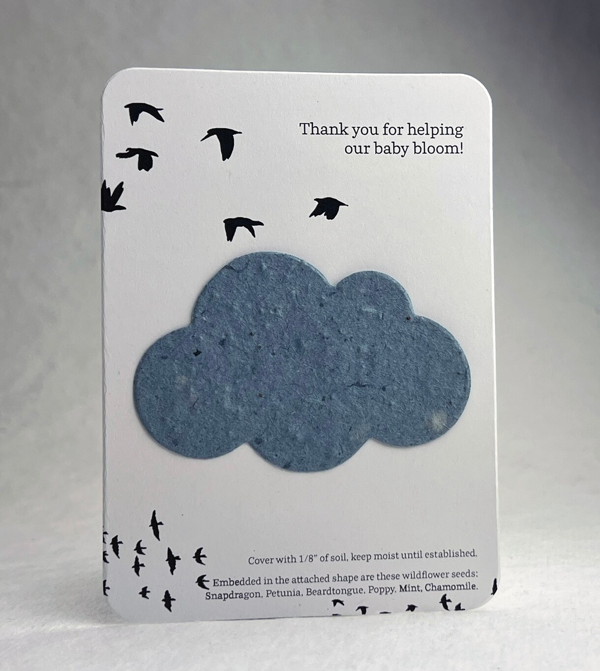 Custom Recycled Cards with Wildflower Seed Paper Cloud - TY Baby Bloom ...
