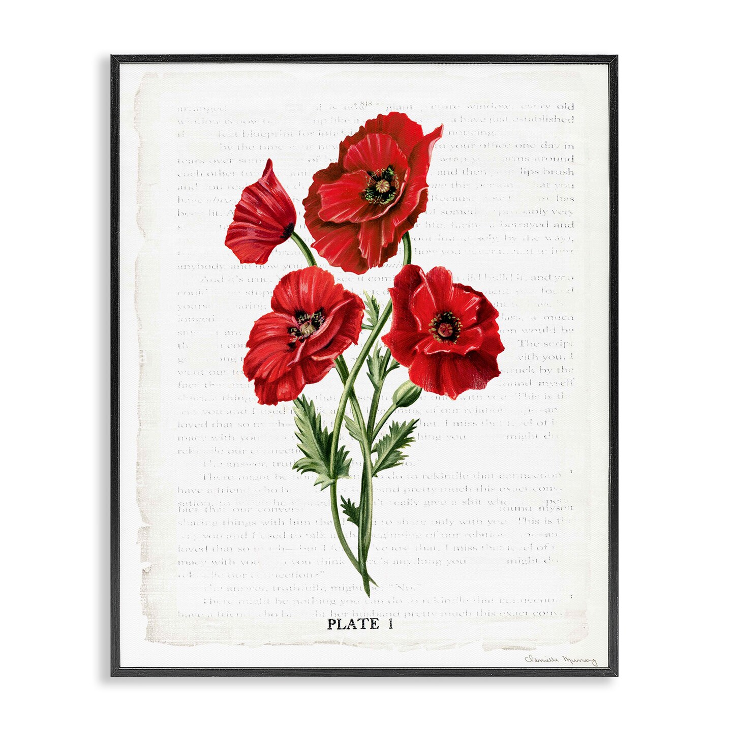 Stupell Industries Red Poppy Study Framed Giclee By Danielle Murray | Michaels